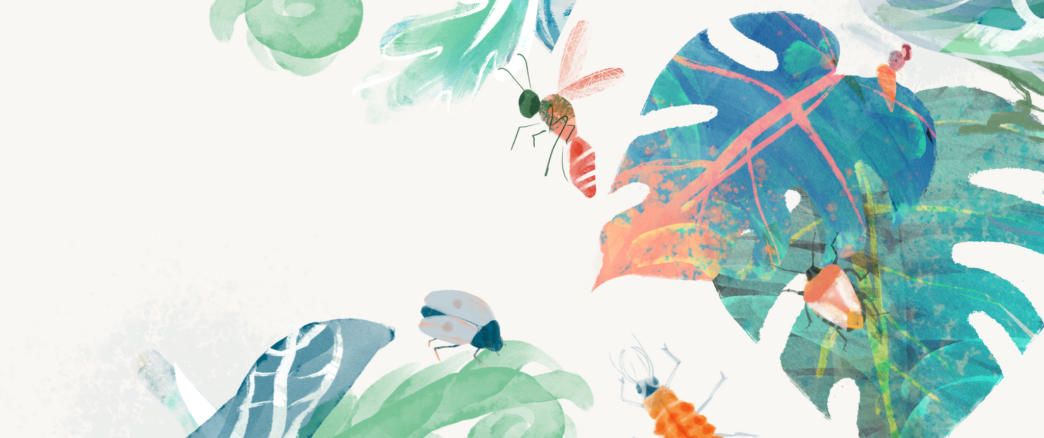 Insect Heroes | Biologische Schädlingsbekämpfung ohne Giftstoffe